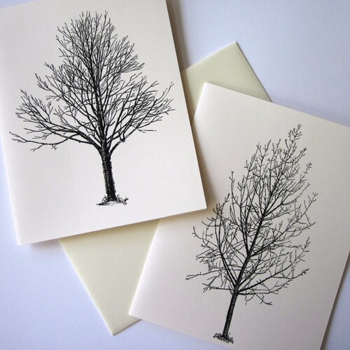 Pine Tree Note Card Set of 10 in White or Light Ivory With - Etsy
