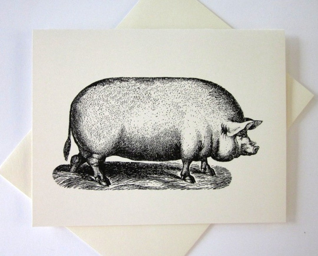 Pig Cards Set of 10 in White or Light Ivory With Matching Envelopes - Etsy