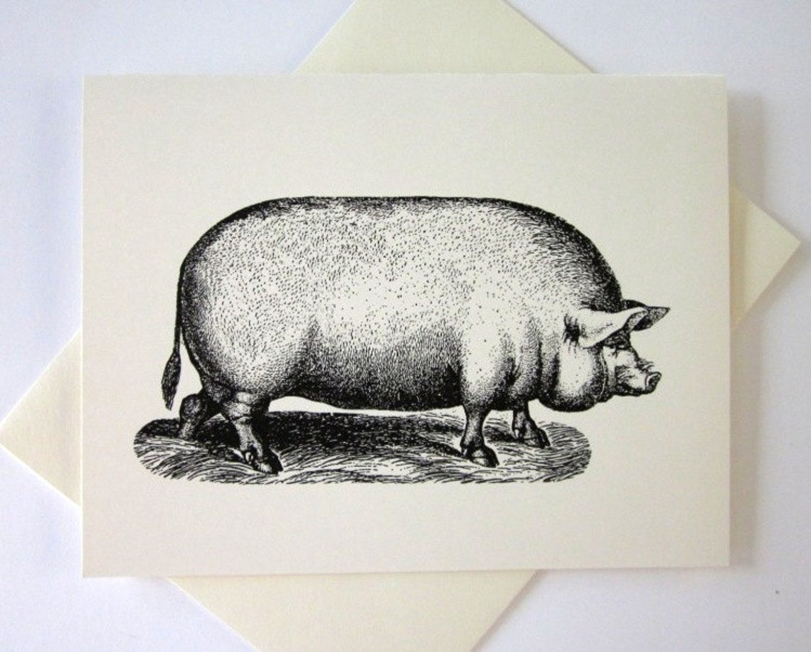 Pig Cards Set of 10 in White or Light Ivory With Matching - Etsy