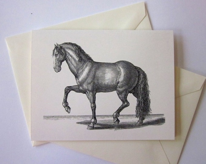 Horse Cards Set of 10 in White or Light Ivory With Matching - Etsy