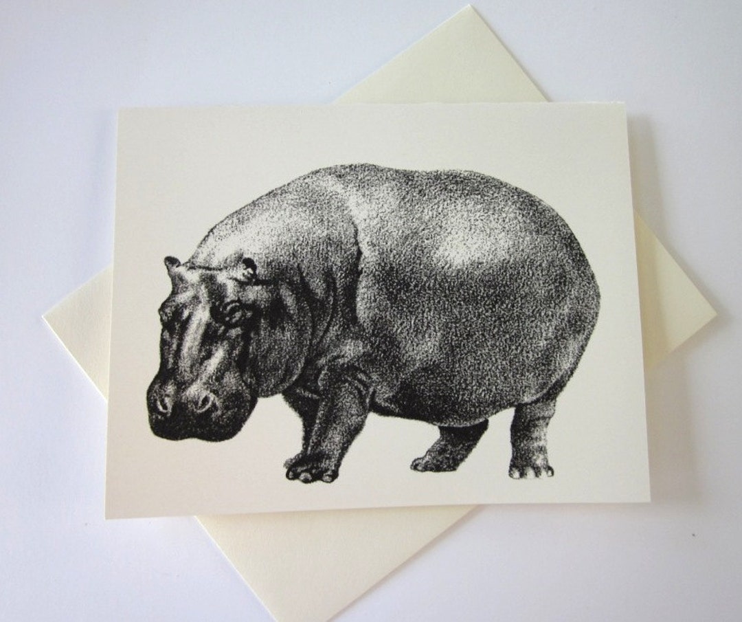 Hippo Hippopotamus Cards Set of 10 in White or Light Ivory With ...