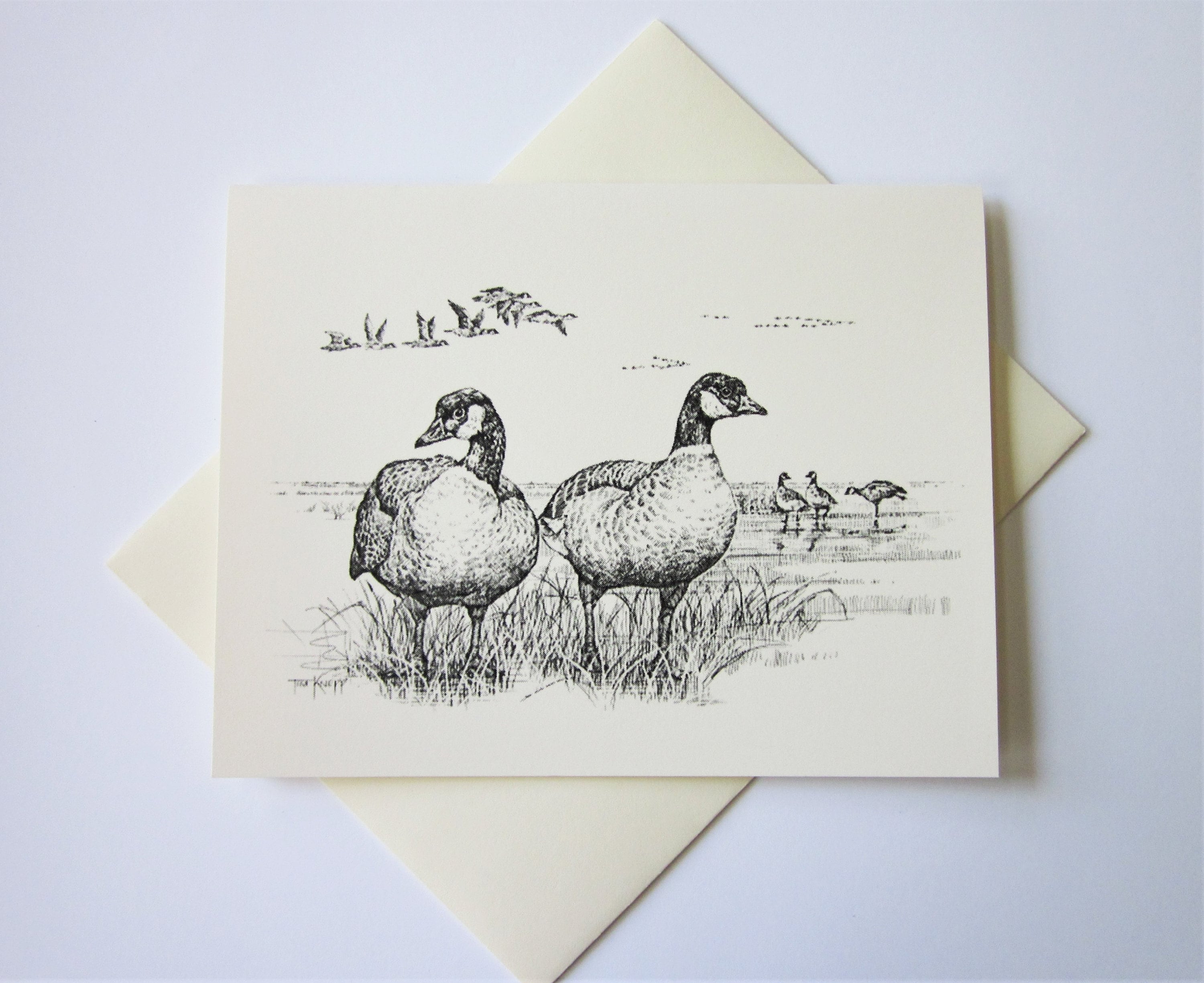Canadian Geese Goose Cards Set of 10 in White or Light Ivory With ...