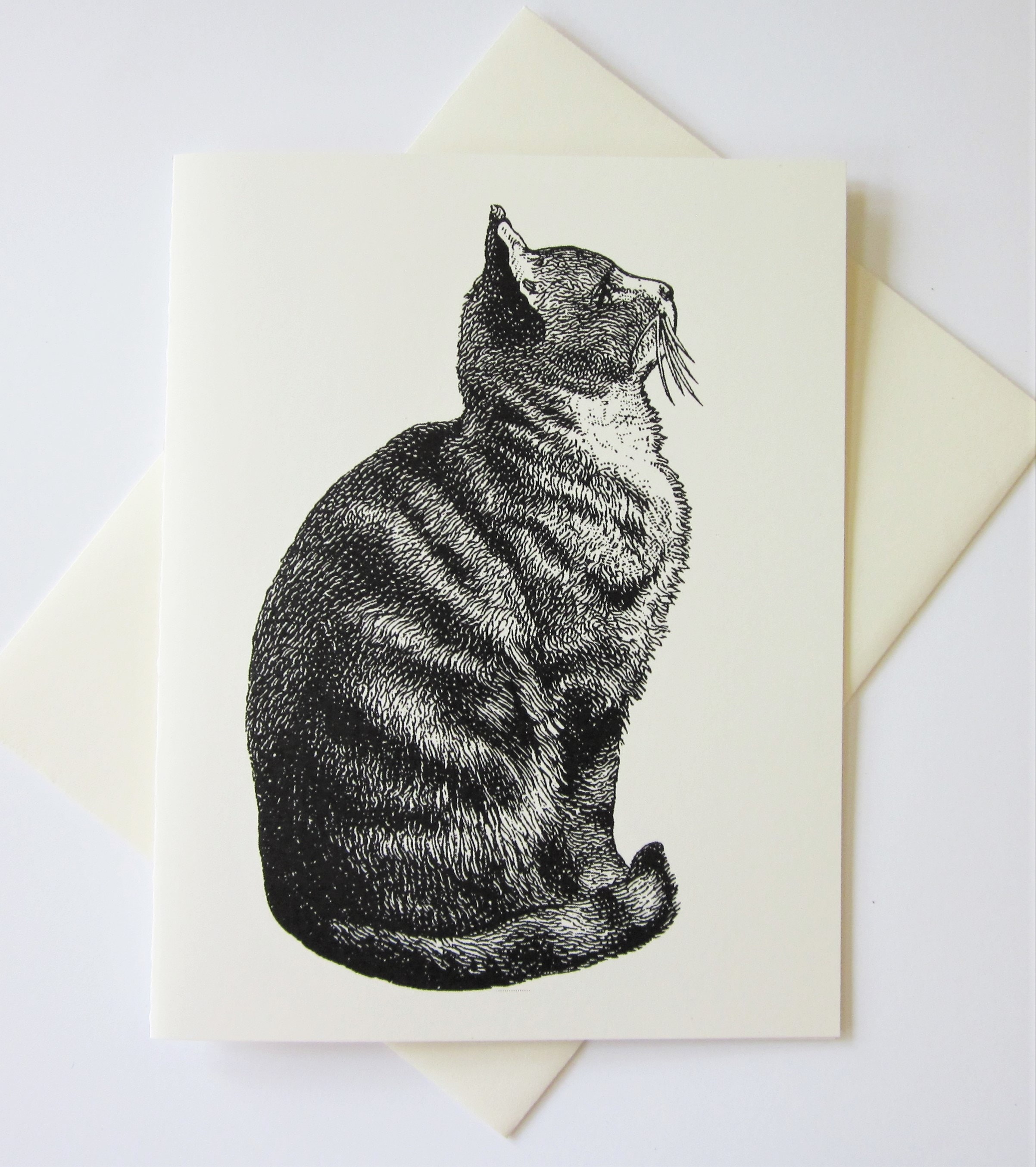 Cat Note Cards Stationery Set of 10 Cards With Matching - Etsy