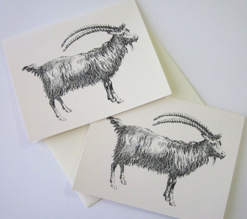 Goat Note Cards Stationery Set of 10 Cards in White or Light Ivory With ...