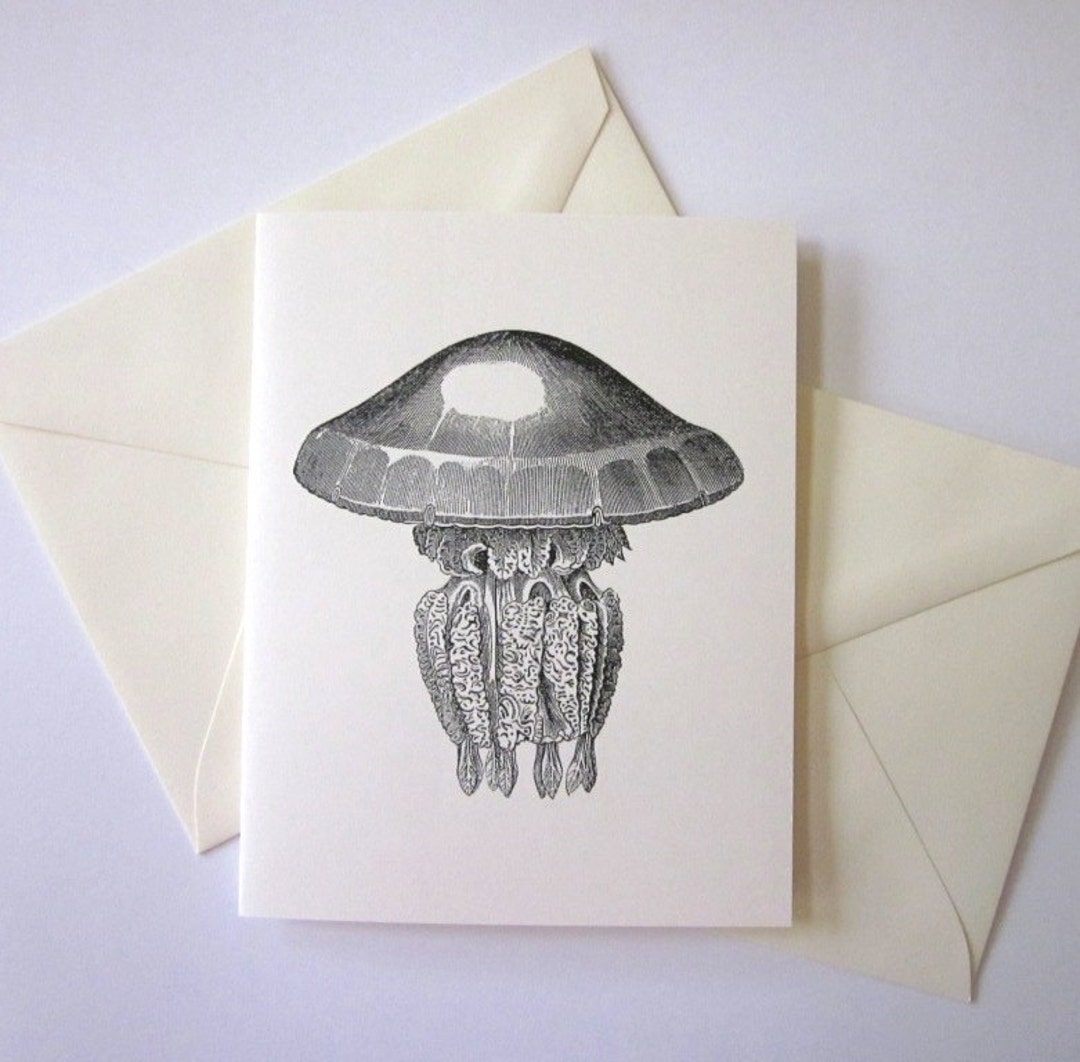 Jellyfish Note Cards Stationery Set of 10 Cards in White or Light Ivory ...