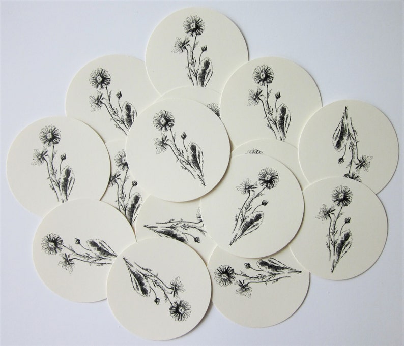 Daisy Dandelion Wildflower Flower Tags Round Gift Tags Set of 10 - Etsy