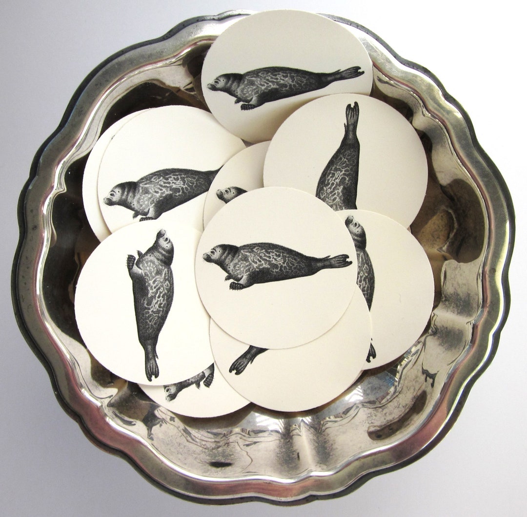 Seal Sealion Tags Round Paper Gift Tags Set of 10 - Etsy