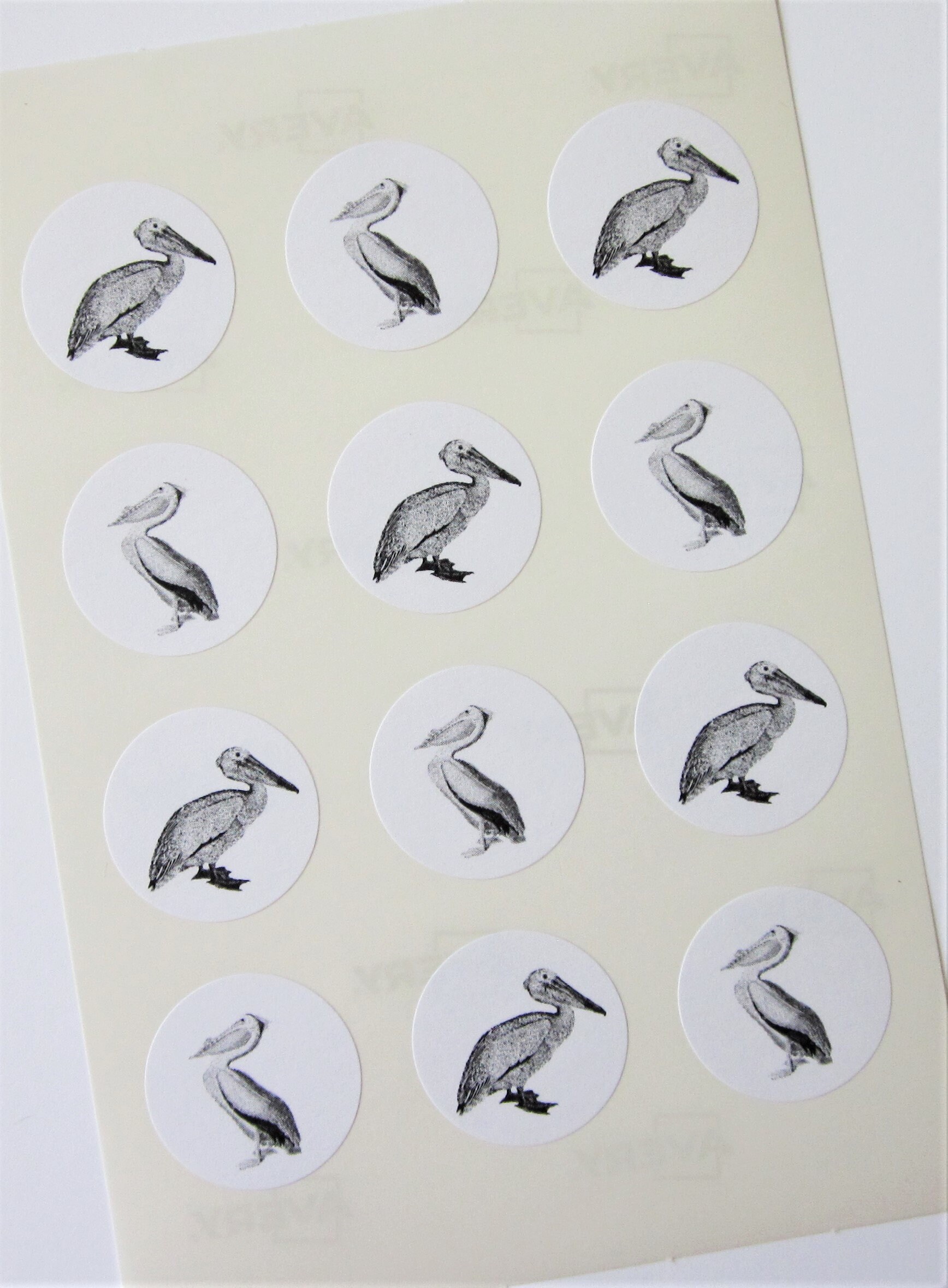 Pelican Stickers One Inch Round Seals - Etsy