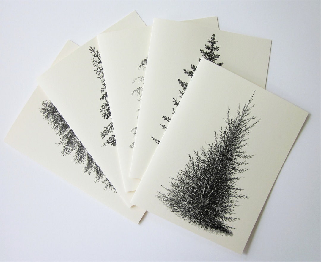 Pine Tree Note Card Set of 10 in White or Light Ivory With Matching ...
