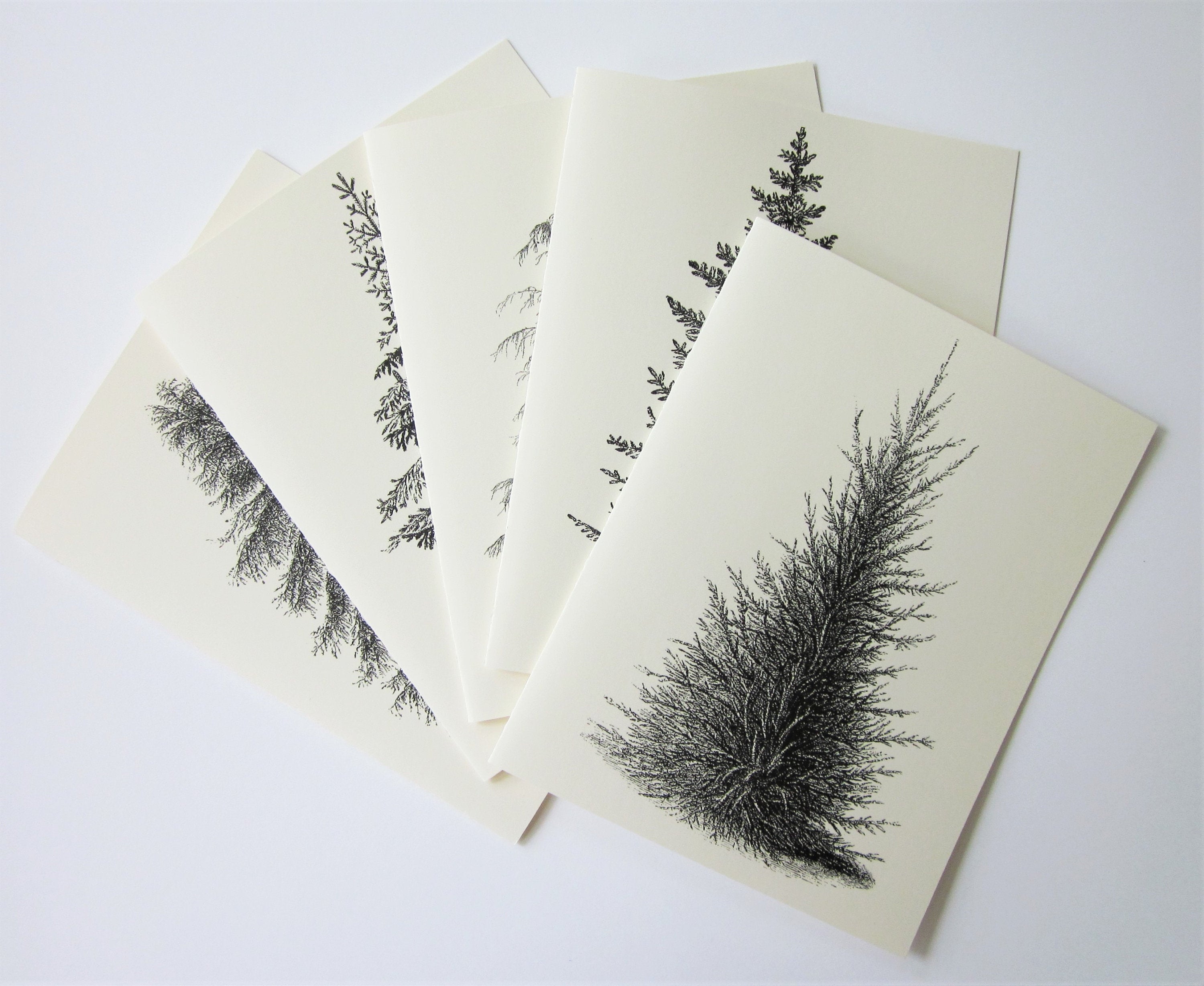 Pine Tree Note Card Set of 10 in White or Light Ivory With - Etsy