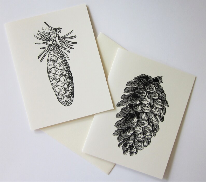 Pinecone Note Cards Set of 10 With Matching Envelopes - Etsy