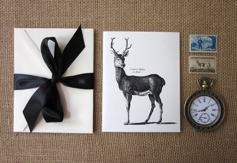 Deer Note Cards Stationery Set of 10 Cards in White or Light - Etsy