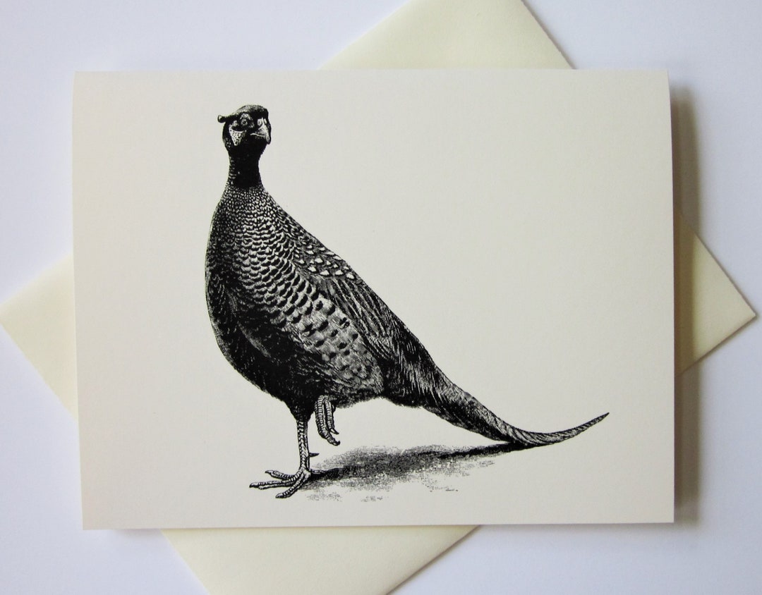 Pheasant Stationery Note Cards Set of 10 With Matching Envelopes - Etsy