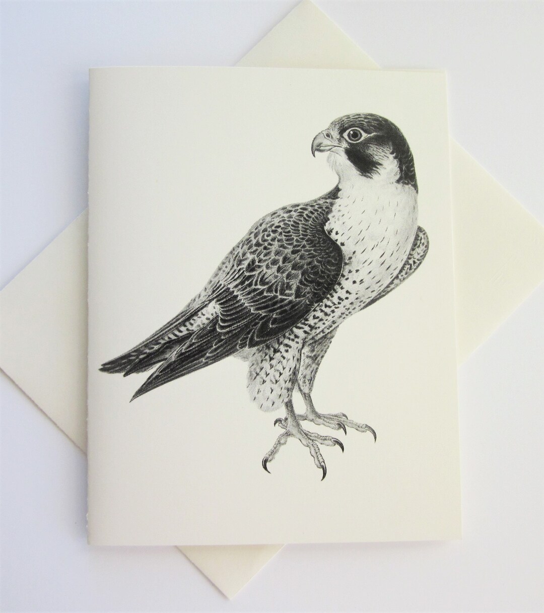 Falcon Note Cards Stationery Set of 10 Cards in White or Light Ivory ...
