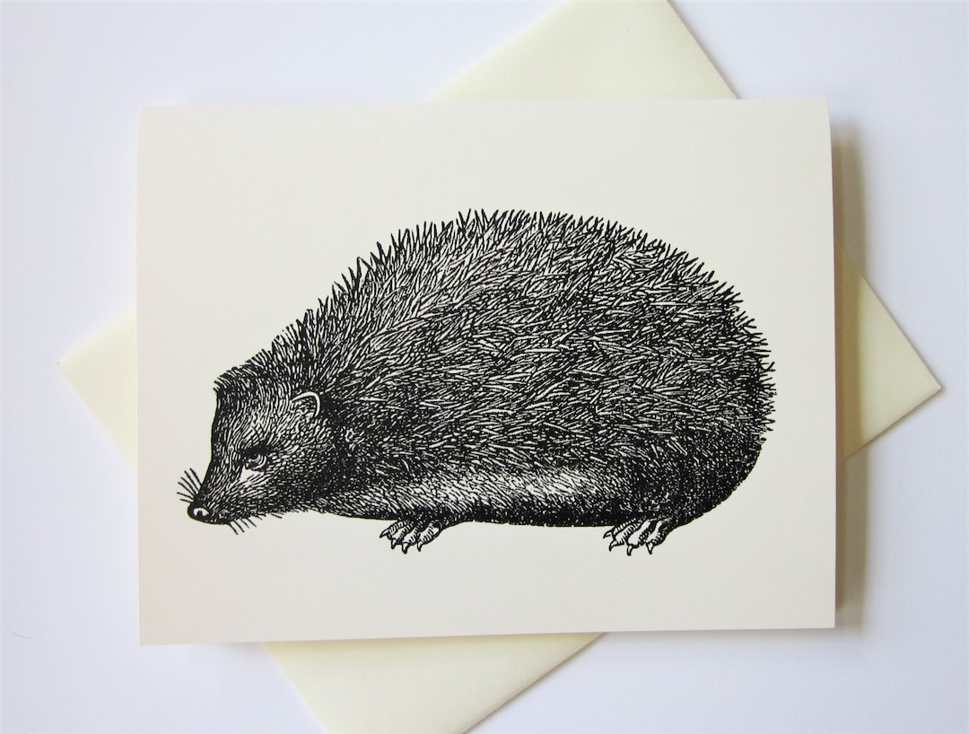 Hedgehog Note Cards Stationery Set of 10 Cards in White or Light Ivory ...