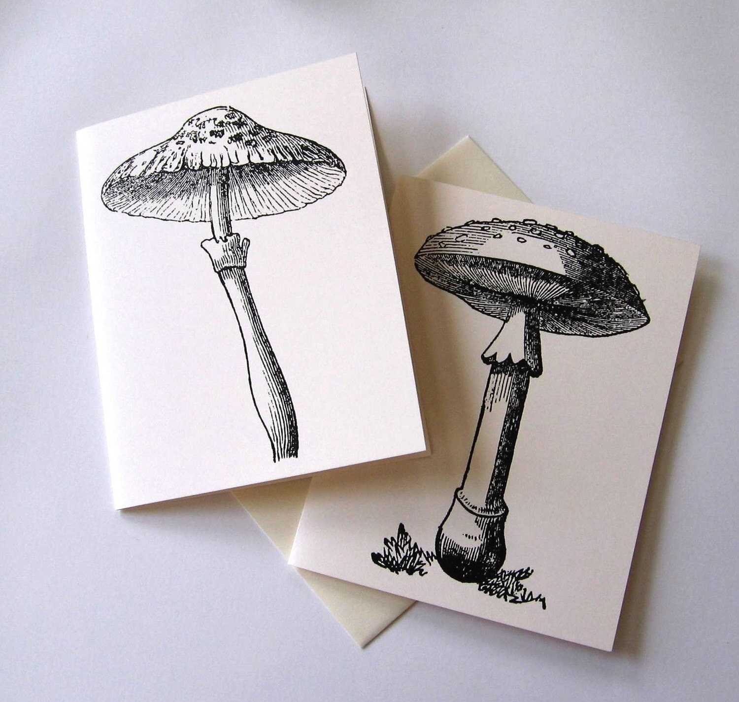 Mushroom Note Cards Set of 10 in White or Ivory With Matching - Etsy