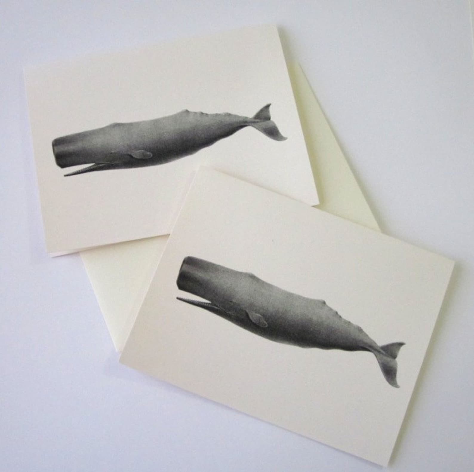 Whale Note Cards Stationery Set of 10 Cards With Matching - Etsy