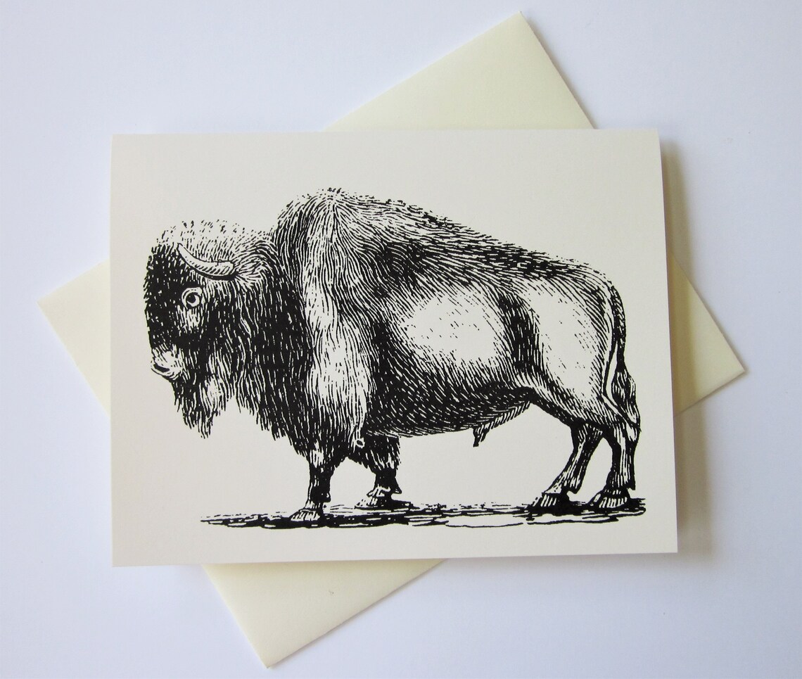 Bison Cards Set of 10 in White or Light Ivory With Matching | Etsy