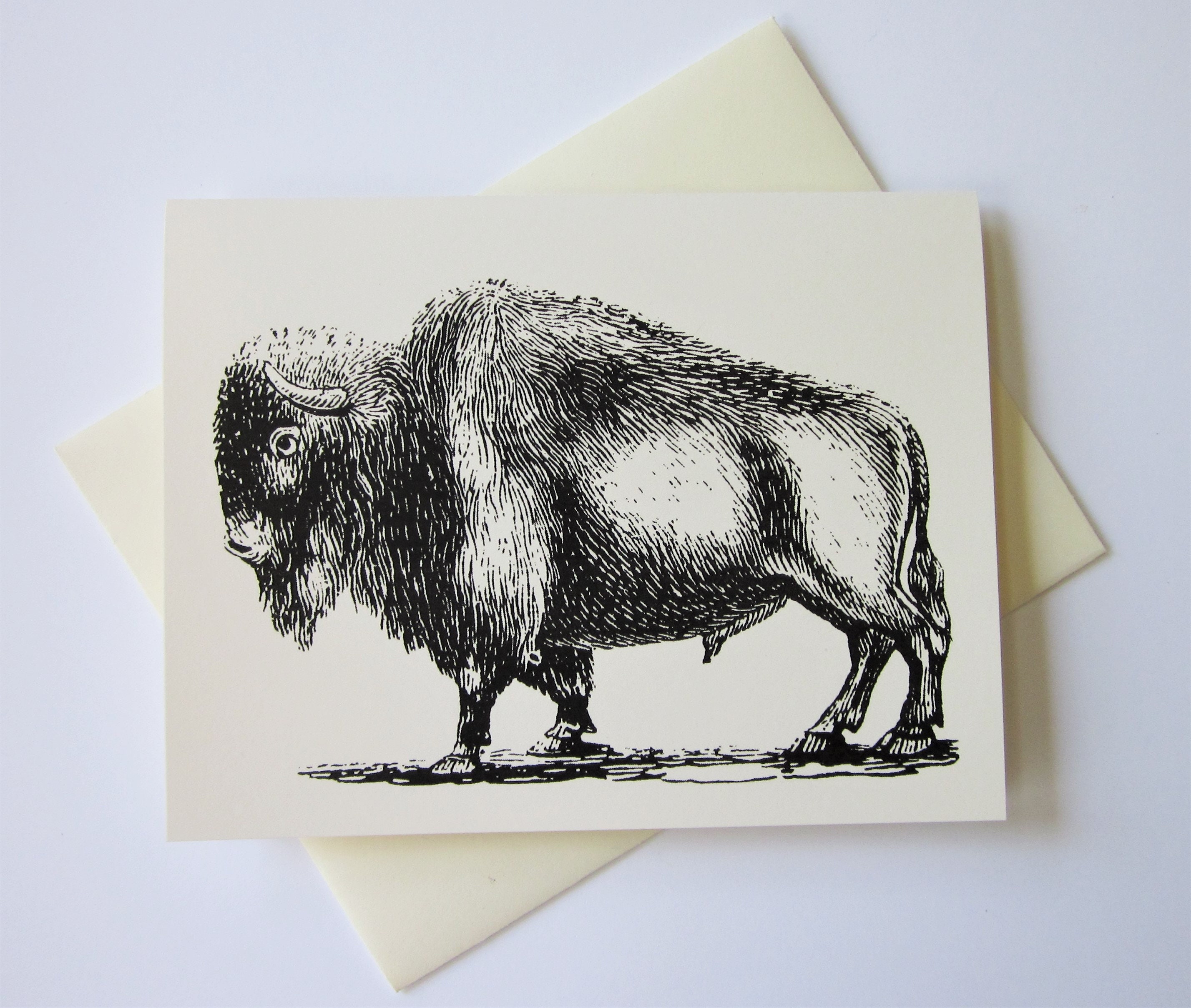 Bison Cards Set of 10 in White or Light Ivory With Matching Envelopes ...