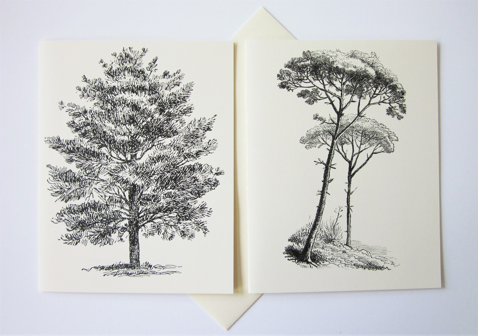 Pine Tree Note Card Set of 10 in White or Light Ivory With - Etsy