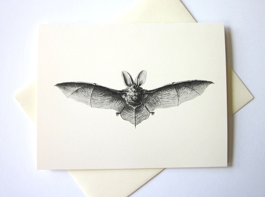 Bat Note Cards Set of 10 in White or Ivory With Matching Envelopes - Etsy