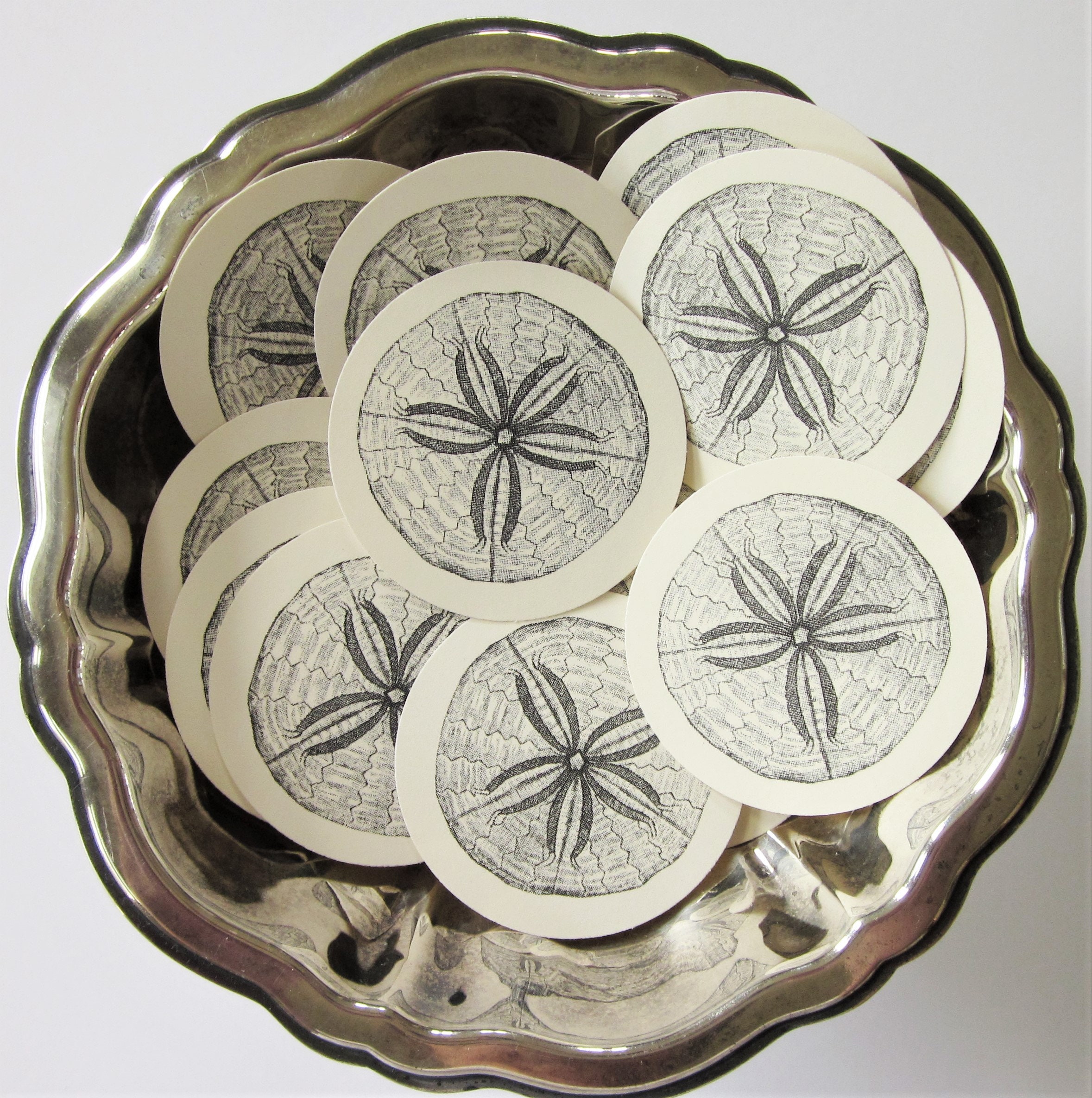 Sand Dollar Tags Round Gift Tags Set of 10 | Etsy