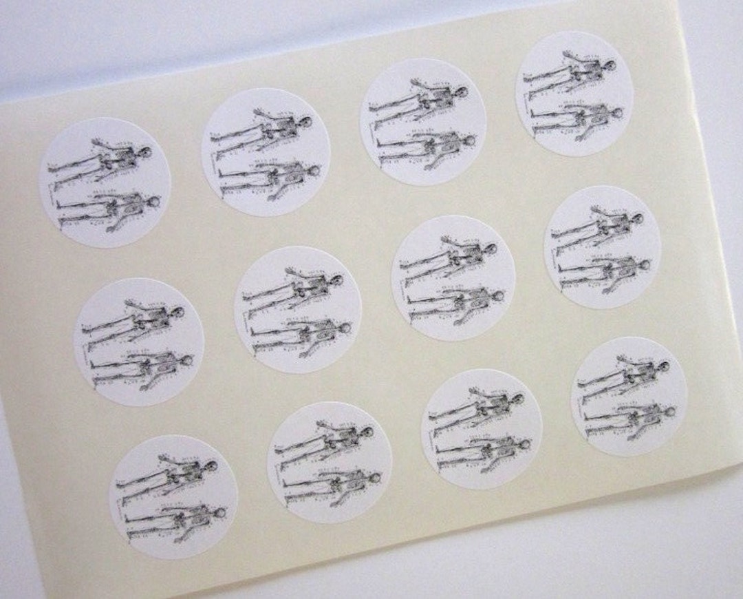 Skeleton Stickers One Inch Round Seals - Etsy
