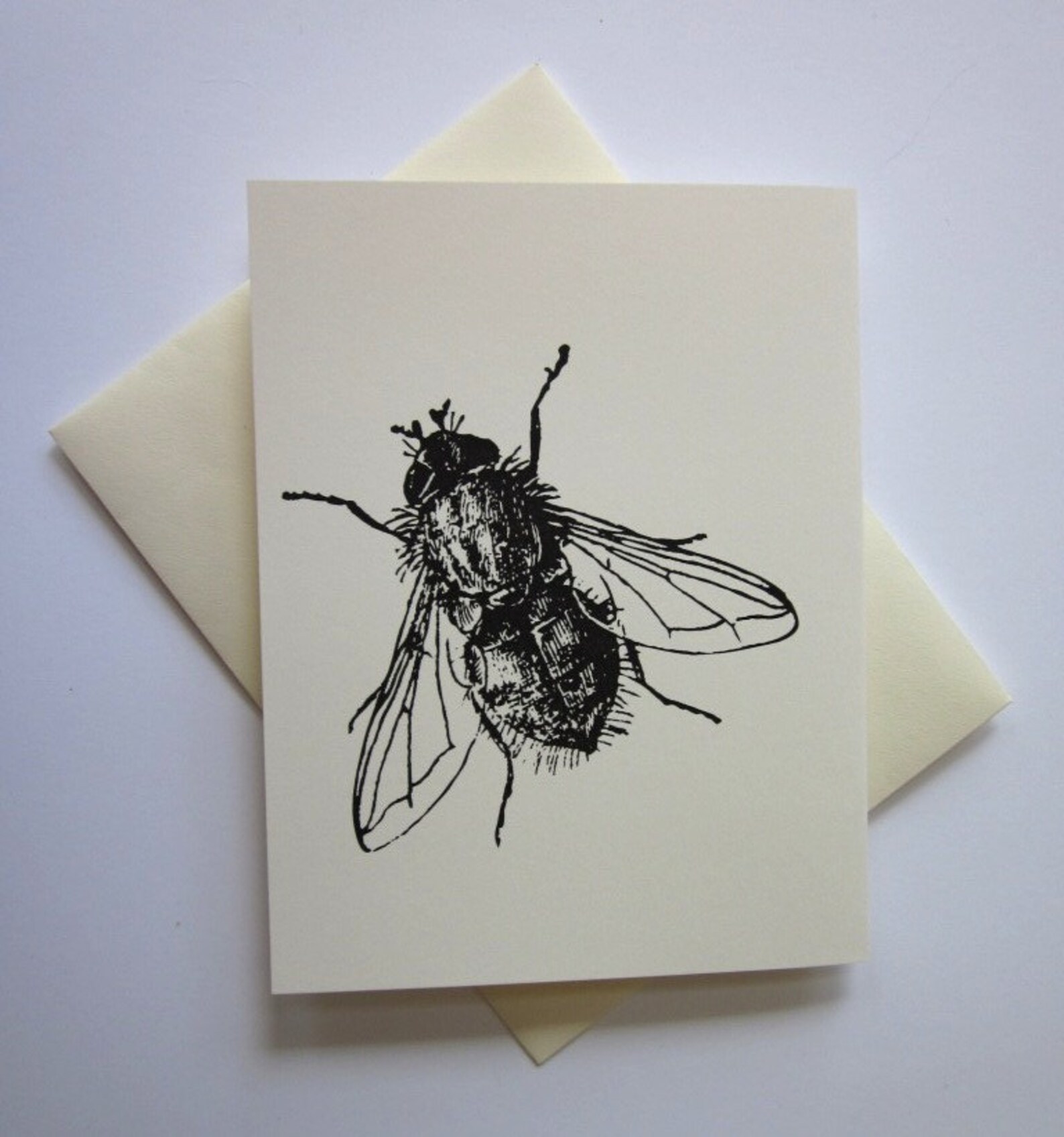 Fly Insect Bug Note Cards Stationery Set of 10 Cards in White | Etsy