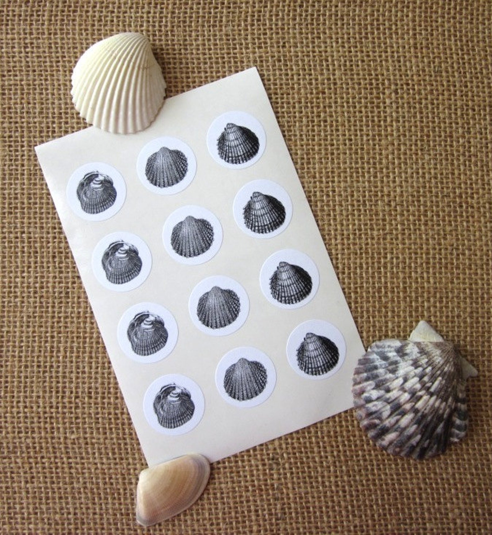 Shell Stickers One Inch Round Seals - Etsy