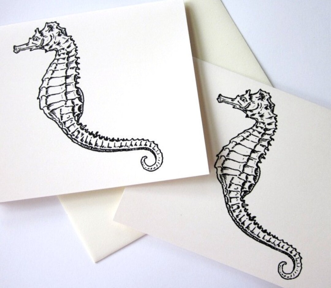 Seahorse Note Cards Stationery Set of 10 Cards in White or Light Ivory ...