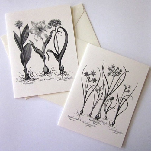 Botanical Branch Note Cards Set of 12 With Matching Envelopes | Etsy