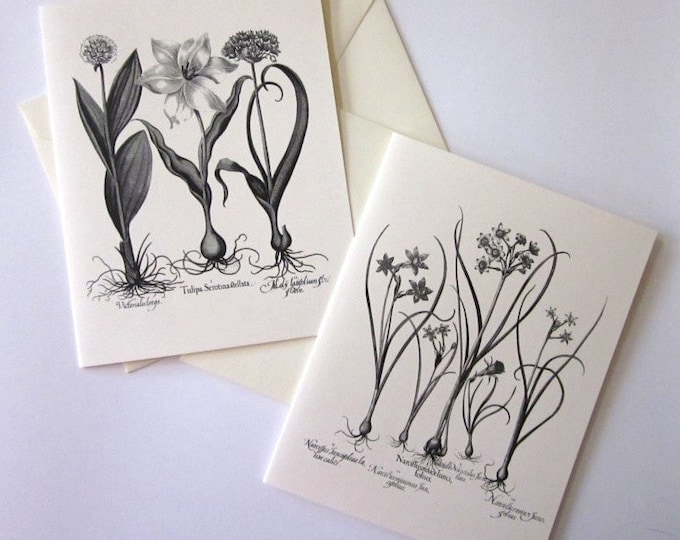 Wildflower Note Cards Set of 12 With Matching Envelopes - Etsy