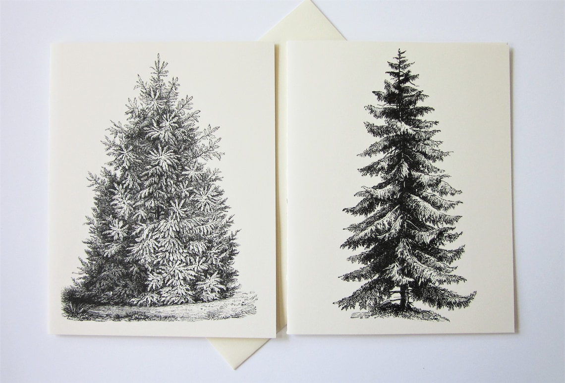 Pine Tree Note Card Set of 10 in White or Light Ivory With - Etsy