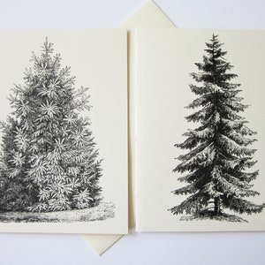 Pine Tree Note Card Set of 10 in White or Light Ivory With Matching ...