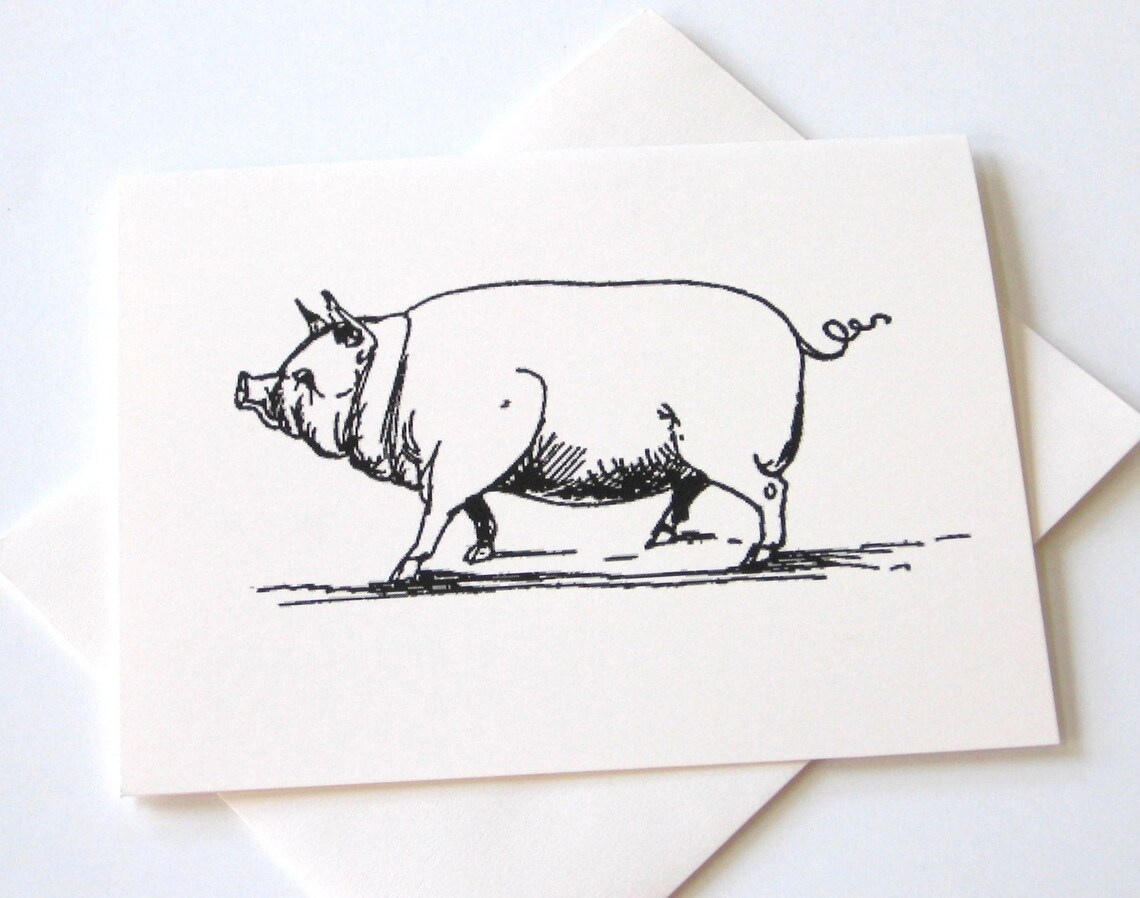 Pig Note Cards Stationery Set of 10 Cards in White or Light | Etsy
