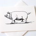 Pig Note Cards Stationery Set of 10 Cards in White or Light Ivory With ...