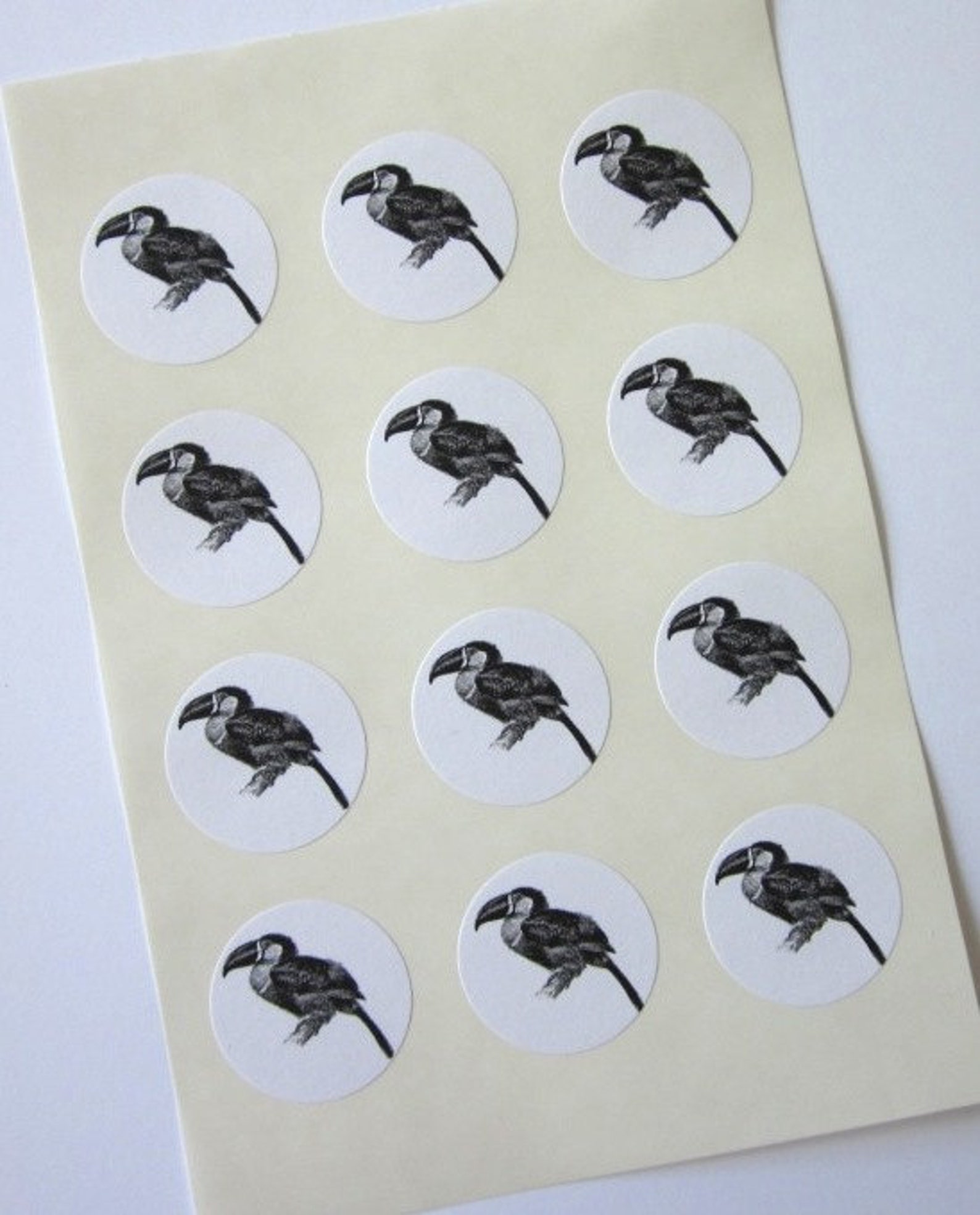 Toucan Stickers One Inch Round Seals - Etsy