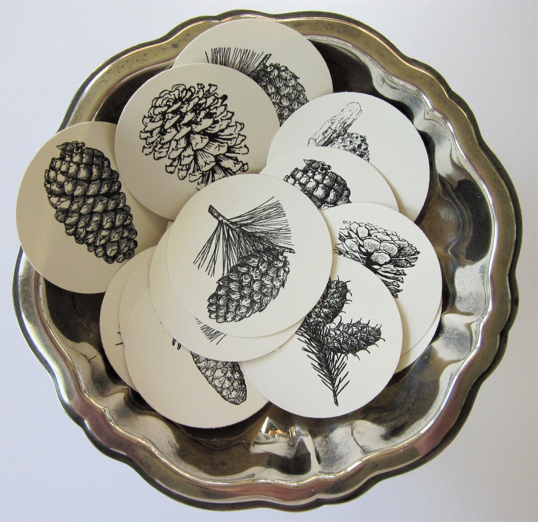Pinecone Round Gift Tags Set of 10 - Etsy