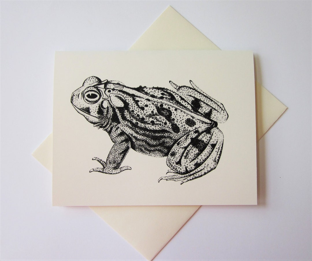 Toad Frog Note Cards Set of 10 With Matching Envelopes - Etsy