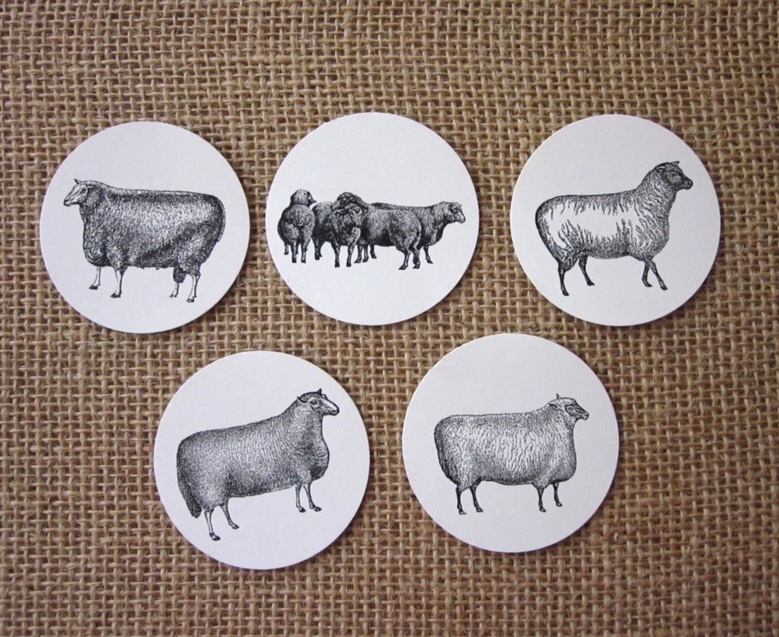 Sheep Lamb Tags Round Paper Gift Tags Set of 10 - Etsy
