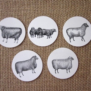 Sheep Lamb Tags Round Paper Gift Tags Set of 10 - Etsy