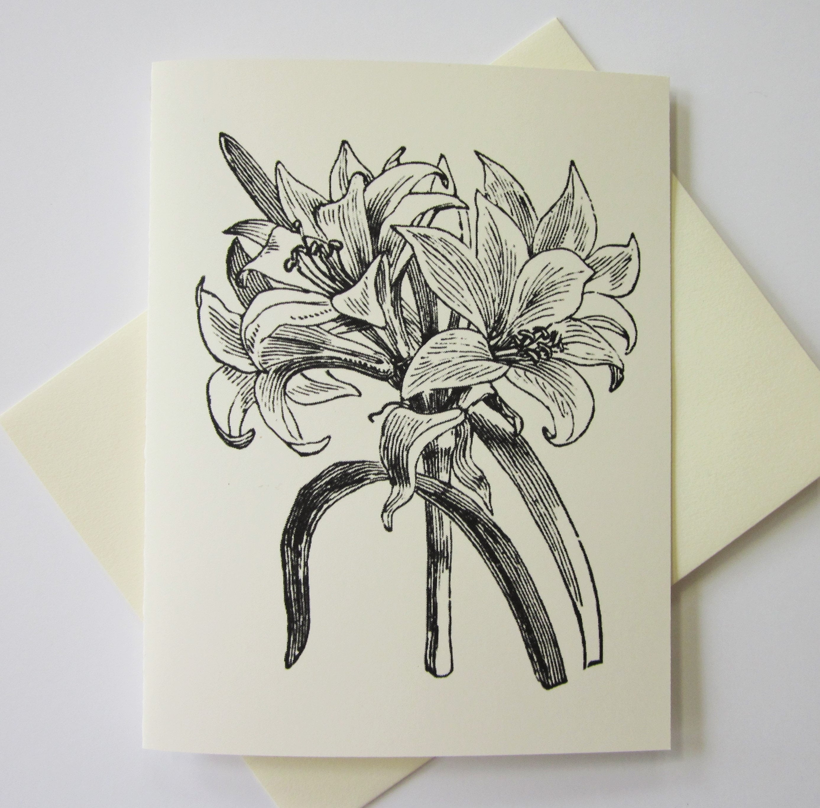 Lily Flower Note Cards Set of 10 With Matching Envelopes - Etsy