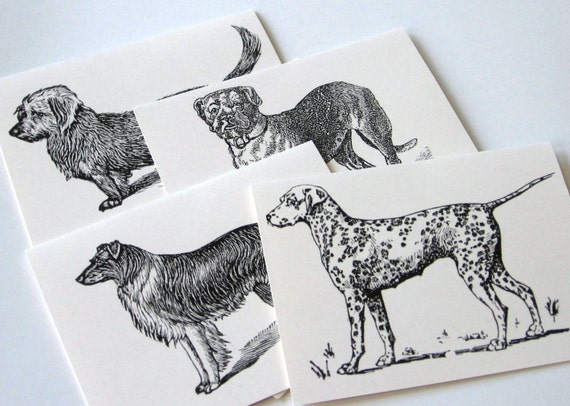 Dog Note Cards Stationery Set of 4 Cards in White or Light - Etsy