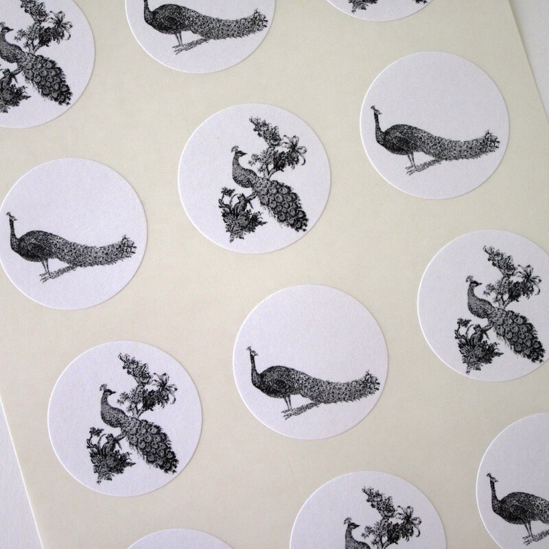 Peacock Stickers - Etsy