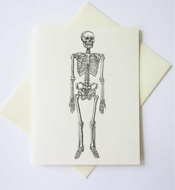 Skeleton Note Cards Juego de 10 con sobres coincidentes - Etsy España