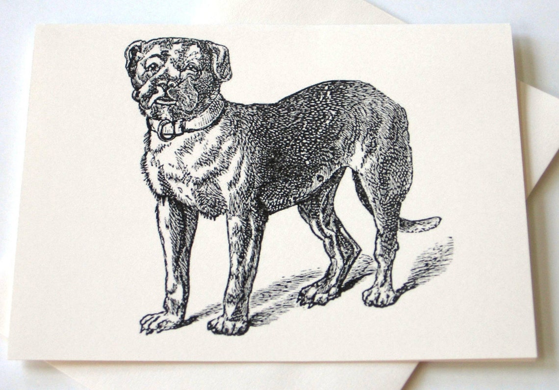 Dog Note Cards Stationery Set of 4 Cards in White or Light - Etsy
