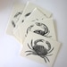 Crab Note Cards Set of 10 With Matching Envelopes - Etsy
