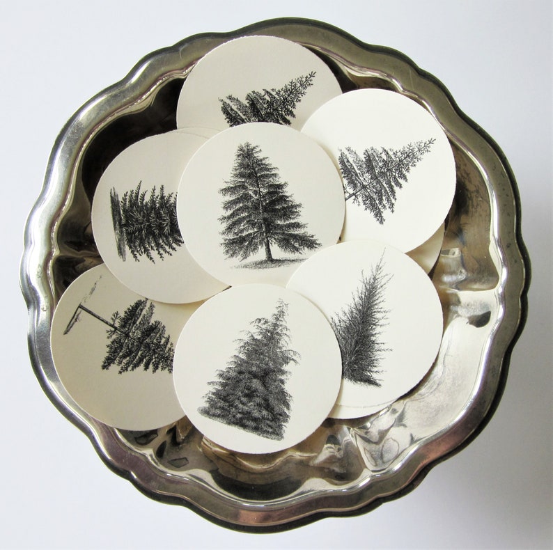 Pine Tree Tags Round Gift Tags Set of 10 Five Pine Tree Images - Etsy