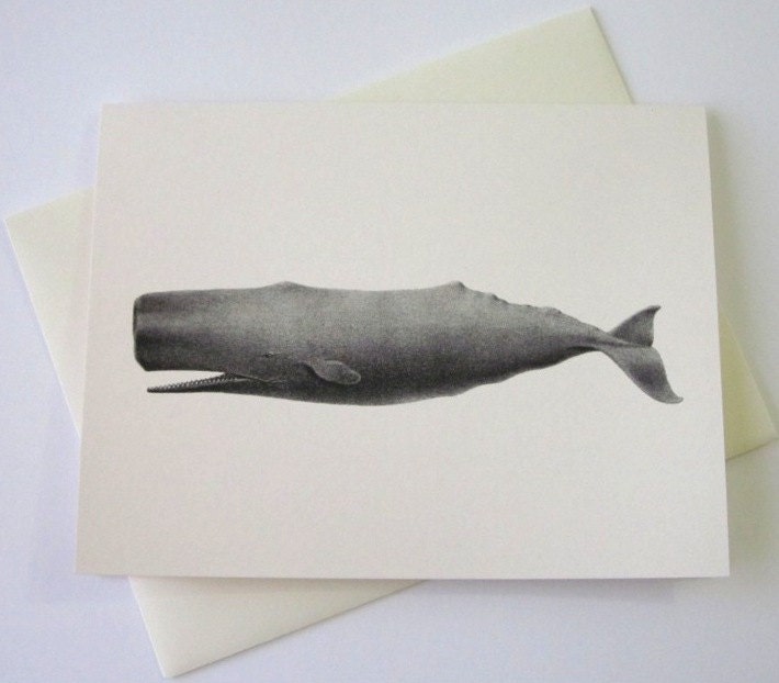 Whale Note Cards Stationery Set of 10 Cards With Matching Envelopes ...
