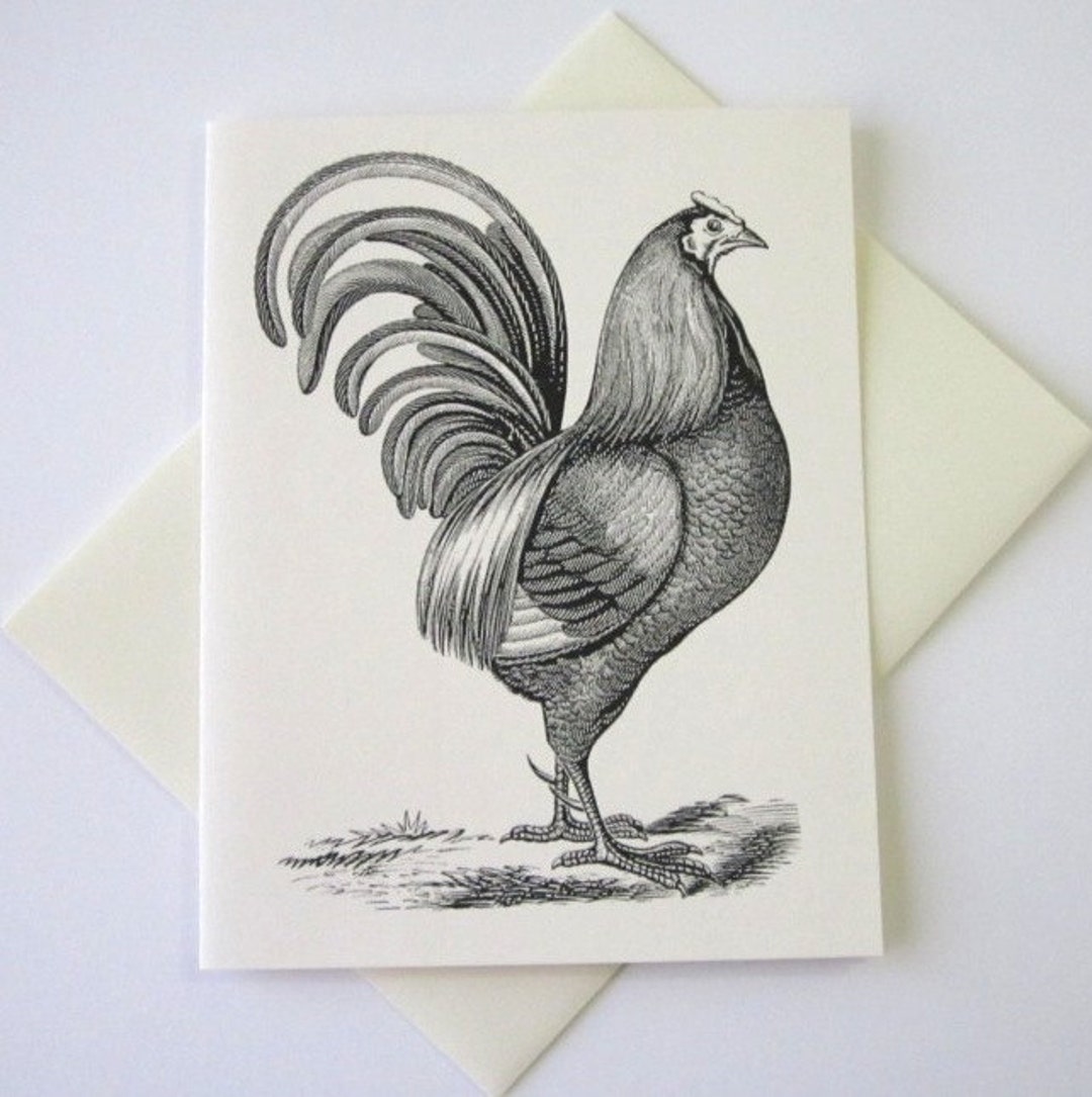 Chicken Rooster Note Cards Stationery Set of 10 Cards With Matching ...
